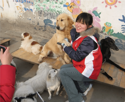 华联社区为公益助力。保护流浪动物_活动_救助_生活