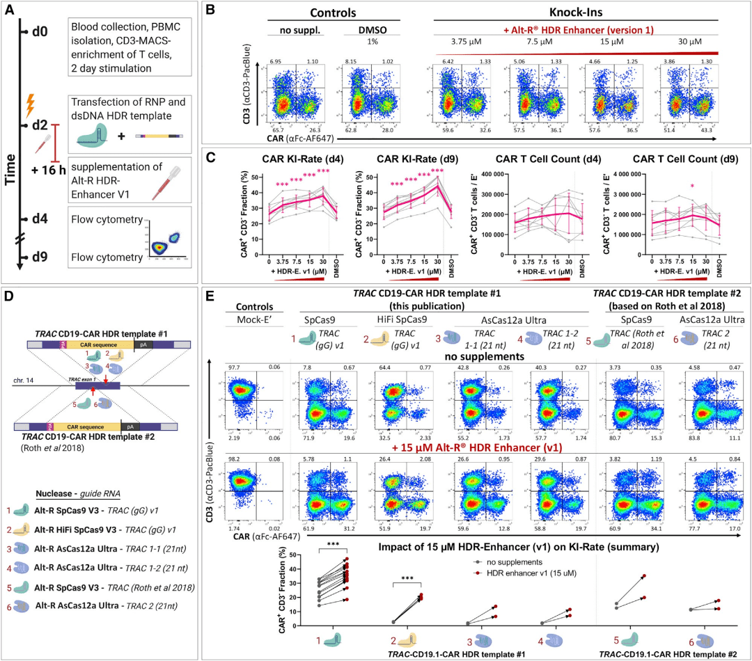 前沿速递|非病毒载体制备CAR-T，助力细胞疗法“腾飞”_基因_位点_dsDNA