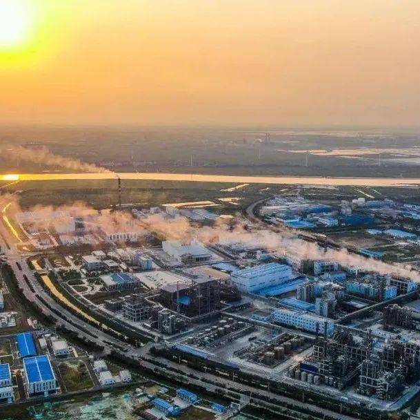 炔醛工艺单线产能最大！采用科氏技术授权！内蒙古君正BDO/PTMEG项目推进_产业_工程_装置