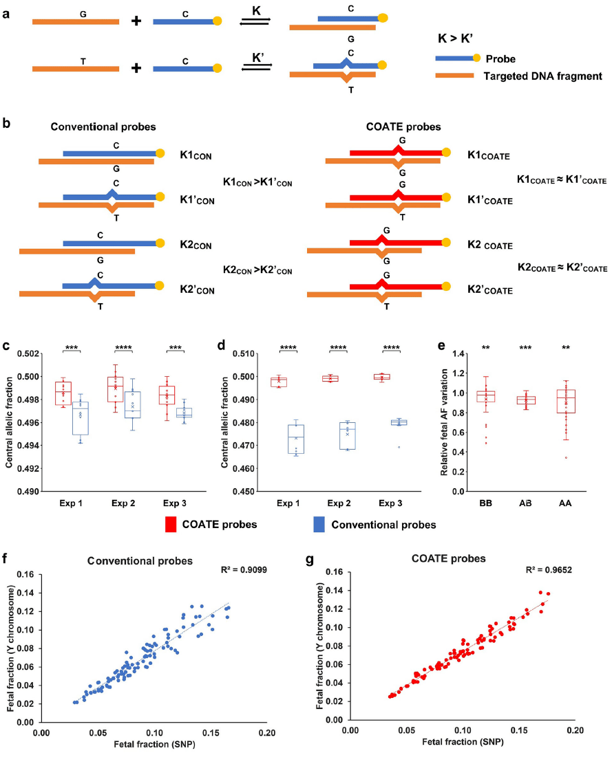 新一代NIPT：孕妇血浆cfDNA遗传去卷积分析实现胎儿染色体异常和单基因病的同步筛查 | Cell Discovery_COATE-seq_检测_cfDNA
