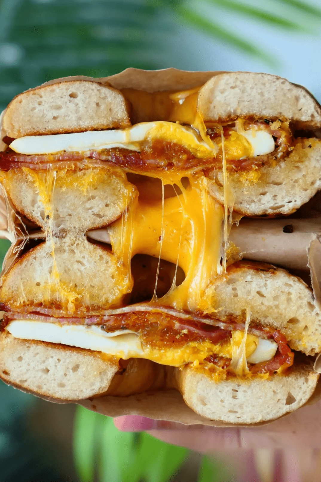 介绍晚了，北京贝果地图来了_Bagel_口味_店名