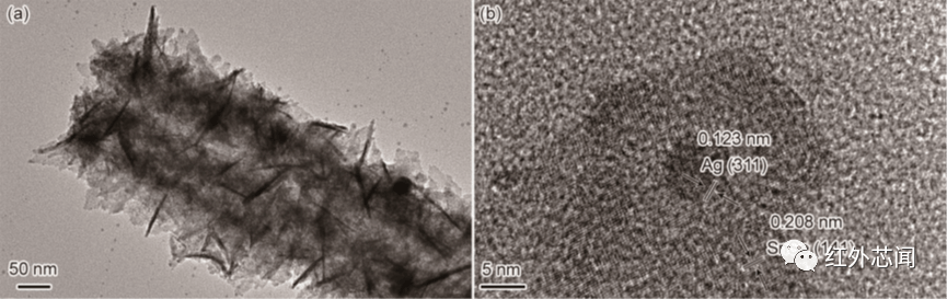 基于Ag/SnSe纳米管的自供能红外探测器，可显著提高最大光电流密度_性能_溶液_研究人员