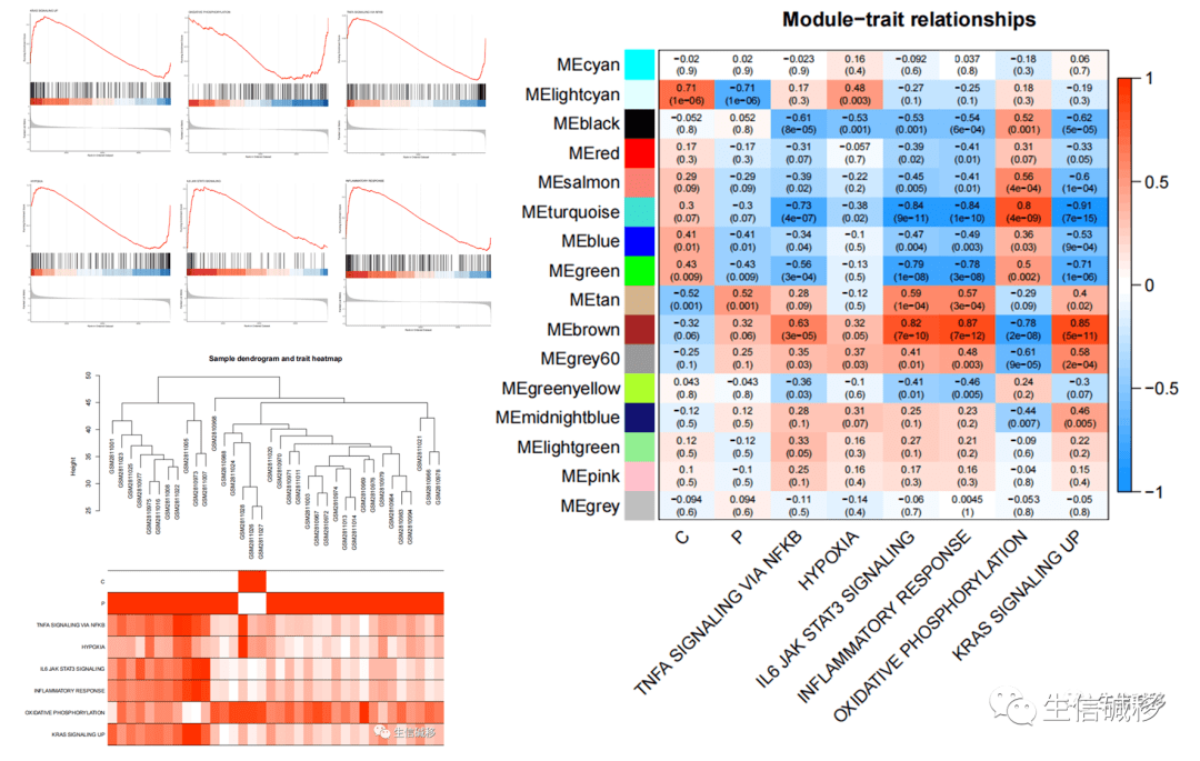 自定义你的WGCNA基因集功能表型，ssgsea分析+WGCNA分析全代码分享_样本_矩阵_文件