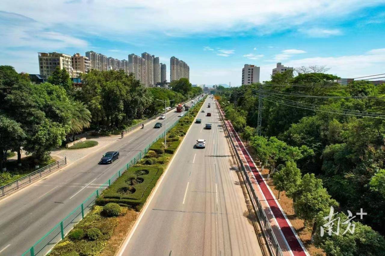 畅通“大动脉”，G228国道塘厦段隐患治理完成_道路_塘厦镇_进行