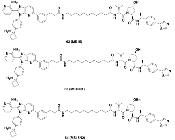 金坚团队：首个靶向AKT变构位点的PROTAC_开发_蛋白_细胞