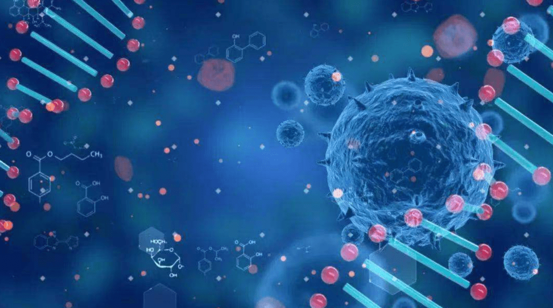 【PNAS】香港大学卢煜明团队基于cfDNA片段模式推断甲基化模式新算法，证实cfDNA遗传和表观遗传信息可同时获得_研究_分子_状态