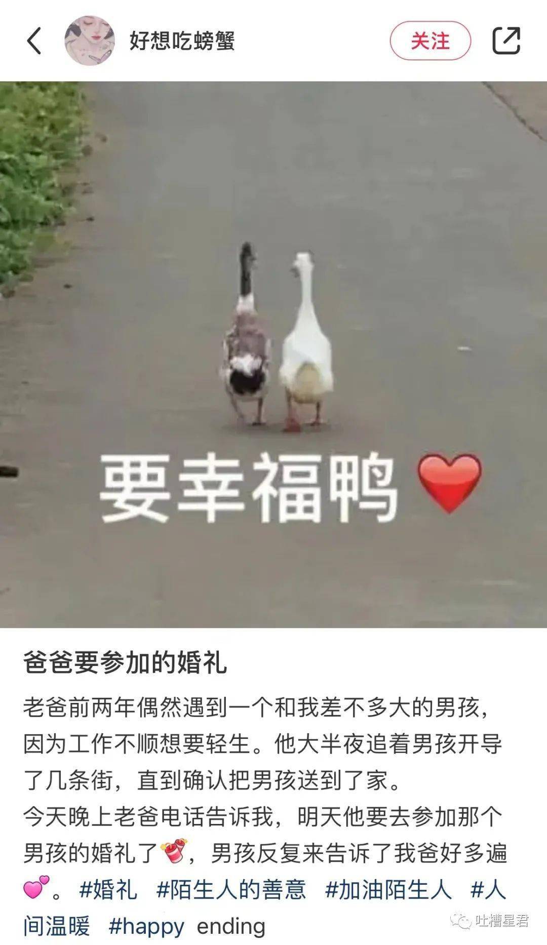男友花4200买prada绿帽子？”网友笑疯：爷可以免费给别人戴！！ 搜狐大视野 搜狐新闻