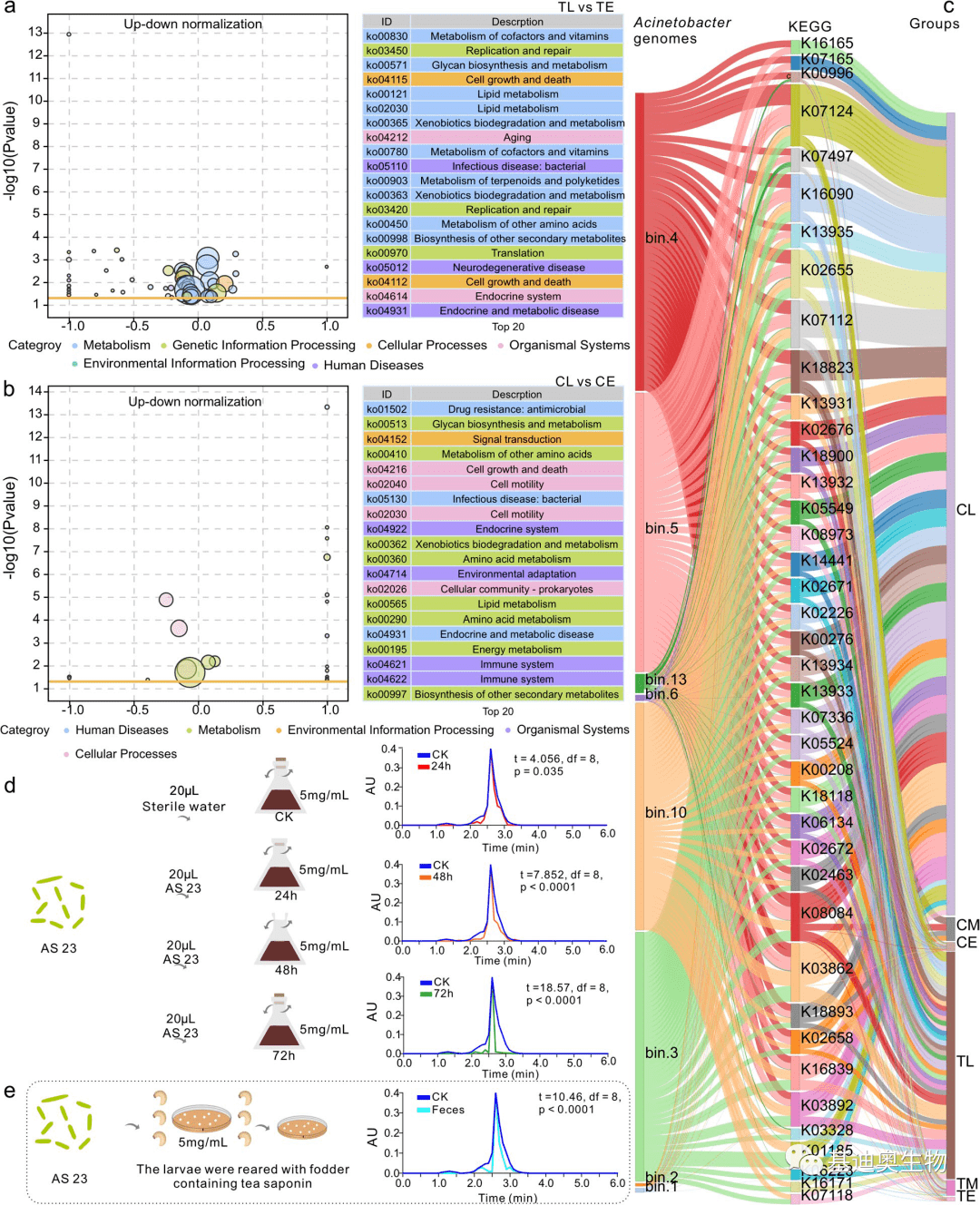 【微生物群落应用篇7】16S+宏基因组揭示群落物种和功能的共同响应机制_肠道_土壤_分析