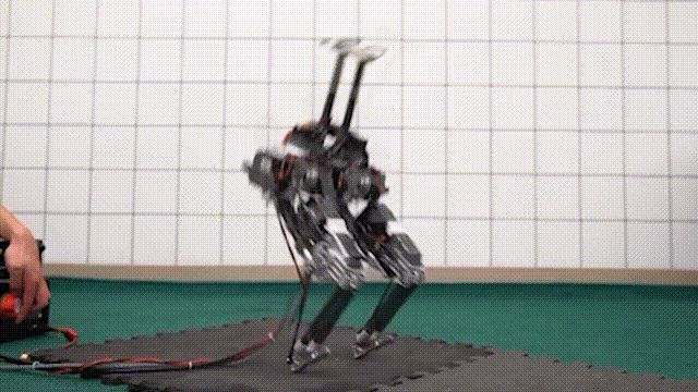 西木科技决定开源双足机器人BRUCE，促进世界的机器人学教育与科学研究发展_人形_人类_拓扑