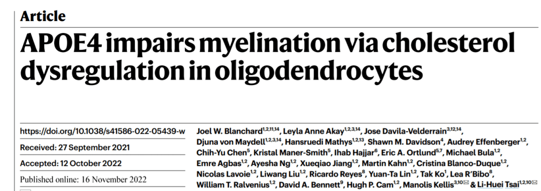 Nature：神经科学家蔡理慧揭示APOE4损害髓鞘的形成引起认知功能障碍_细胞_胆固醇_胶质