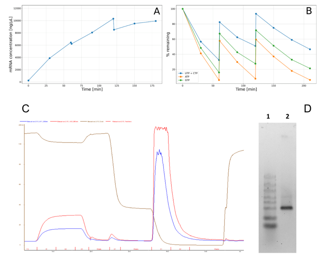HPLC实时监控IVT体系，定时补料，高效合成mRNA。_反应_离子_浓度