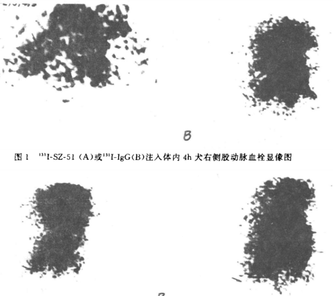 水溶性SPDP/磺化SPDP-多肽/4-马来酰亚胺基丁酸-N-羟基琥珀酰亚胺酯_蛋白质_分子_mg