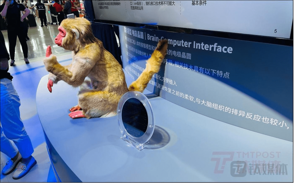 Chinese Brain-computer Interface Startup NeuroXess Completes Series A ...