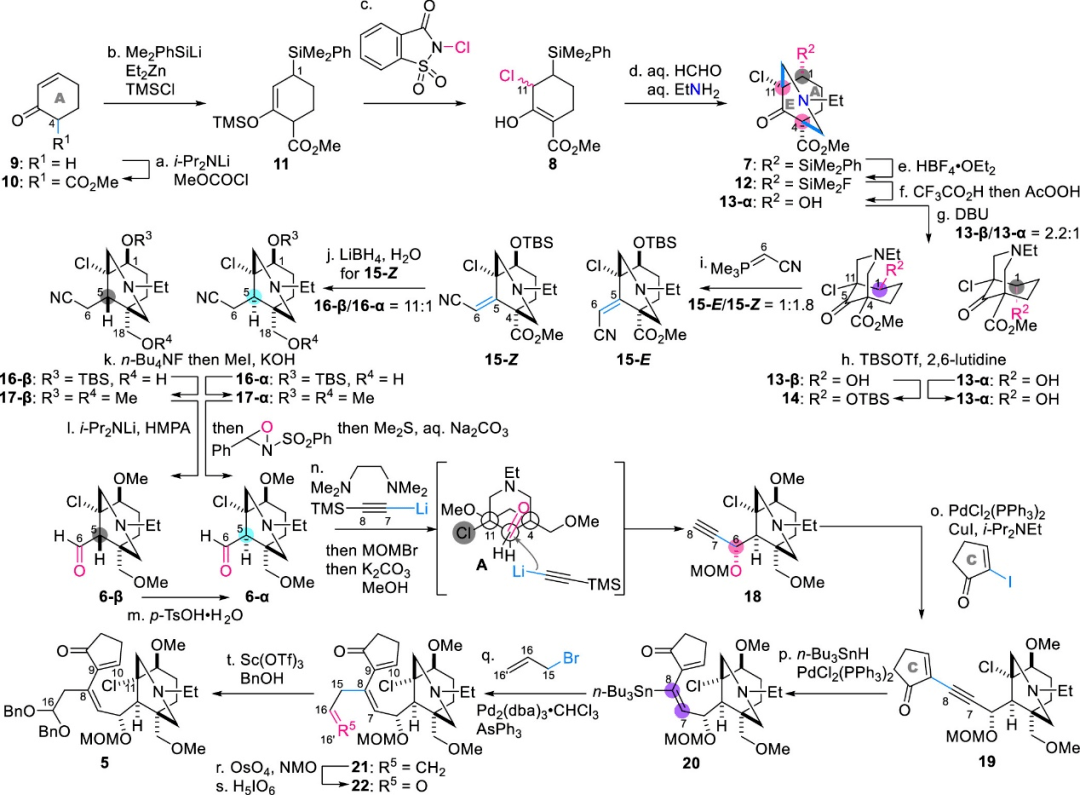 JACS：二萜生物碱Puberuline C的首次全合成_反应_分子_化合物