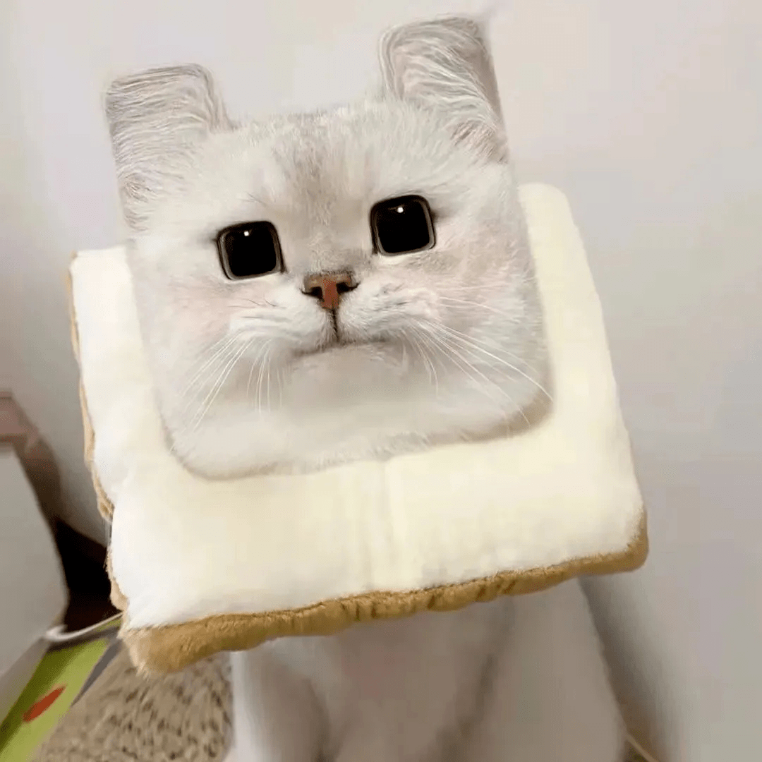 UCL、KCL新开宝藏专业：数据、政策、经济！24fall的你难道还不知道？_科学_背景_英国