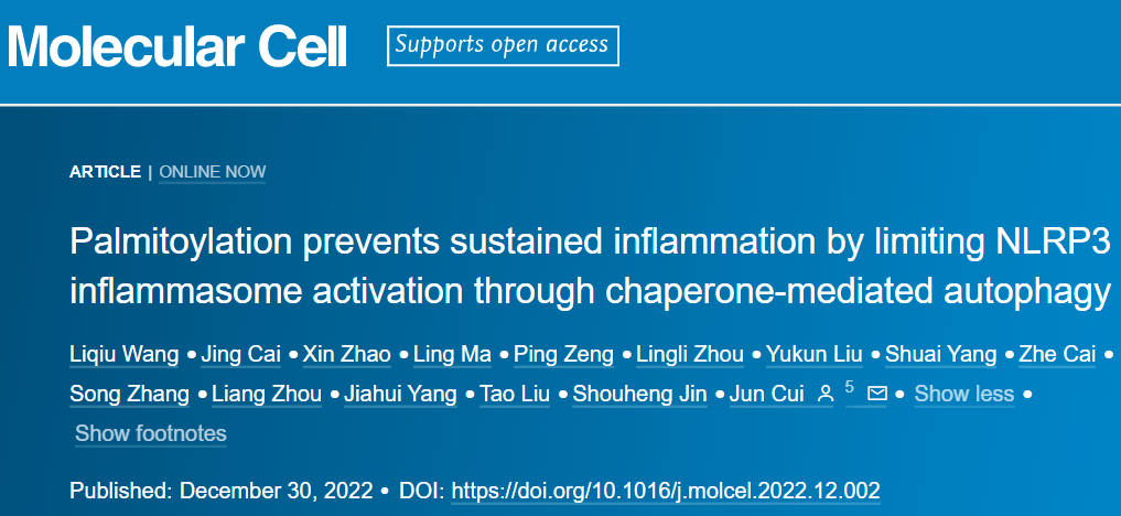 Mol Cell | 中山大学崔隽团队发现自噬限制NLRP3炎症小体活化，从而防止持续性炎症_棕榈_蛋白_研究
