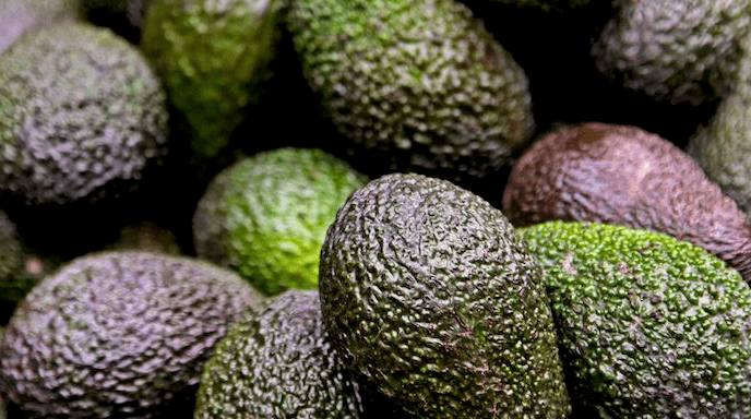 2022 U.S. avocado prices reach dollar sales peak_the_market_to