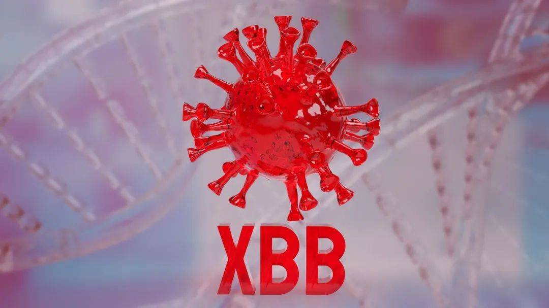 国内此地检出XBB、BQ.1.1，这种情况可判定为二次感染；没阳过的人怎么回事，专家解答来了_病毒_保护_密克