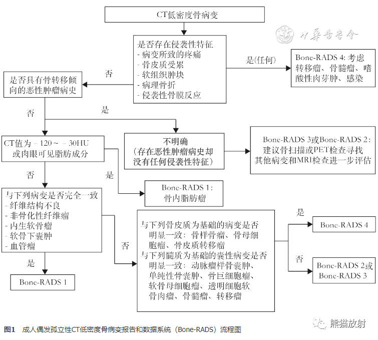 专家论坛丨成人偶发孤立性骨病变的CT和MRI诊断管理指南解读_密度_信号_Bone-RADS
