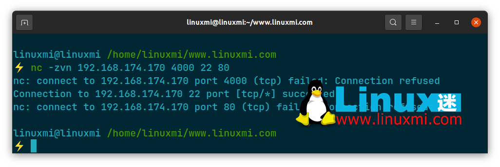 在 Linux 中使用 netcat 命令扫描端口_com_home_www