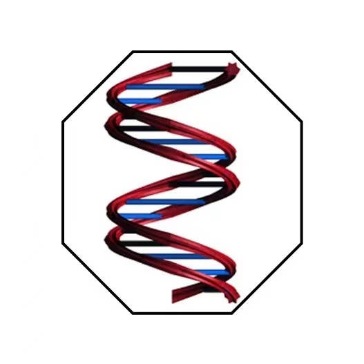 西比曼与阿斯利康就C-CAR031签署联合开发协议_中国_商业化_生产
