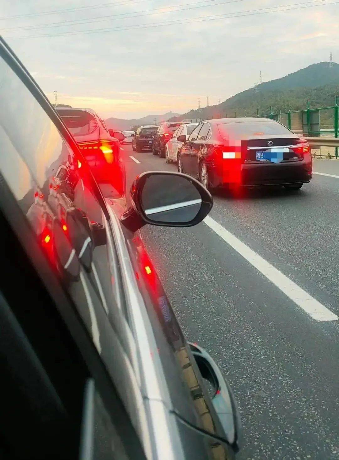 堵到怀疑人生！男子竟在高速上与公鸡打架网友被年货打了旅游返程全国