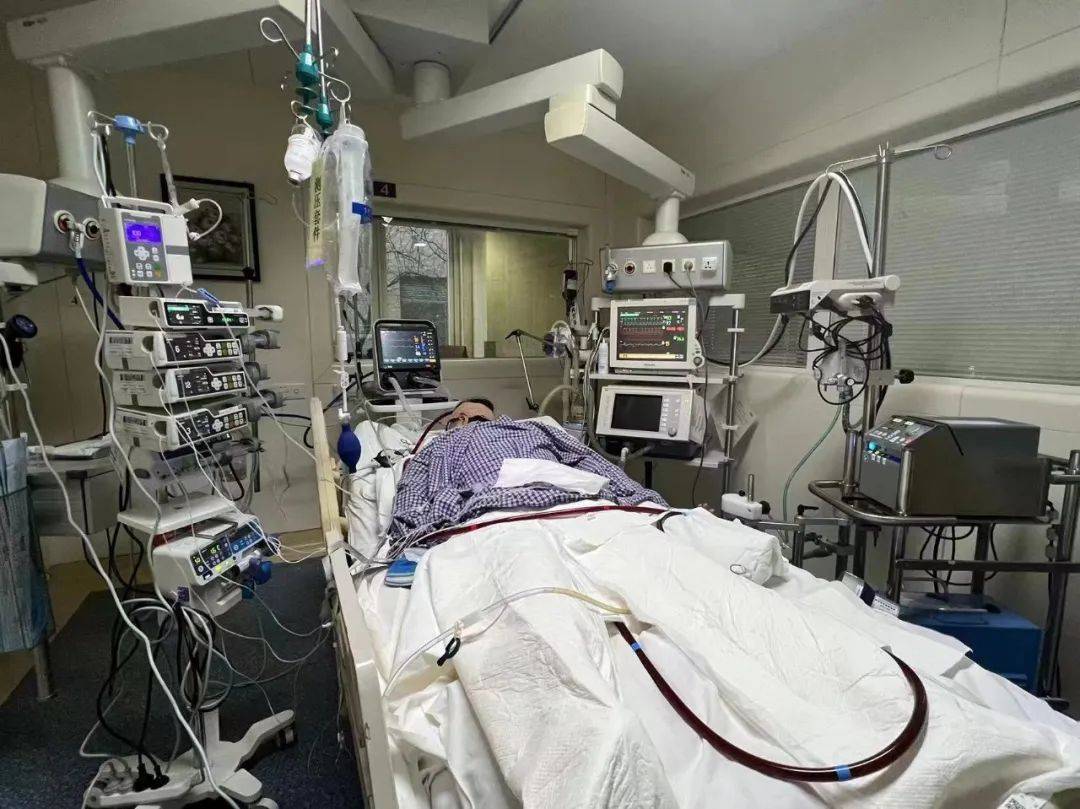 救死扶伤尽天职——两例应用ECMO的新冠重症患者成功撤机_老侯_老郑_治疗