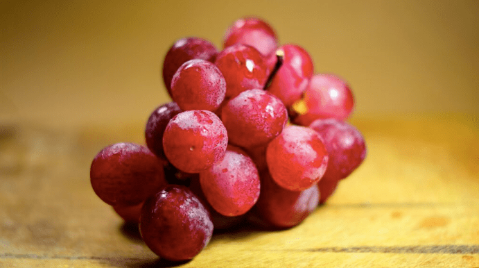 South Africa to export 64 million cartons of table grapes_the_crop_in