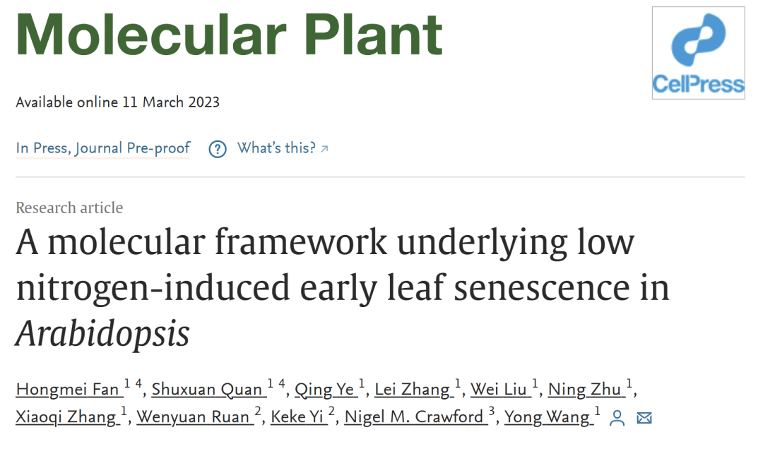 Mol Plant | 山东农大王勇课题组揭示GDS1调控低氮诱导的叶片衰老并提高植物氮素利用率的分子机制_研究_作物