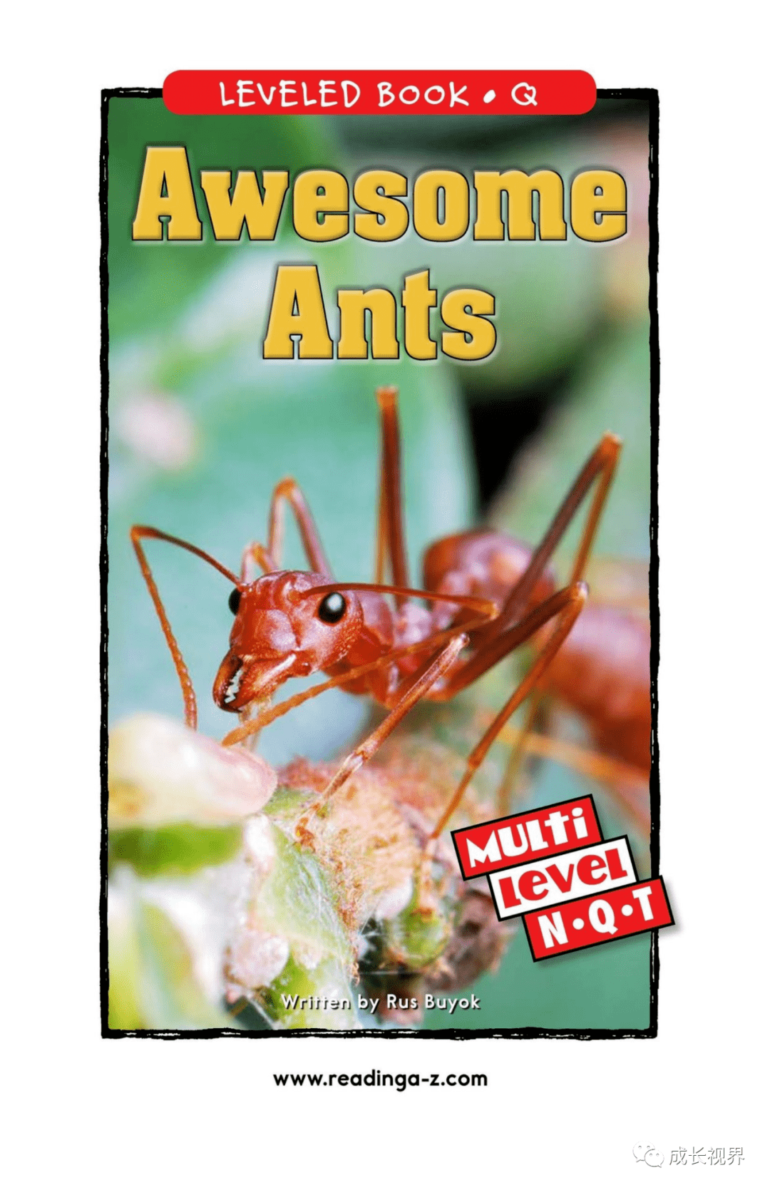 【RAZ-Q-6】Awesome Ants