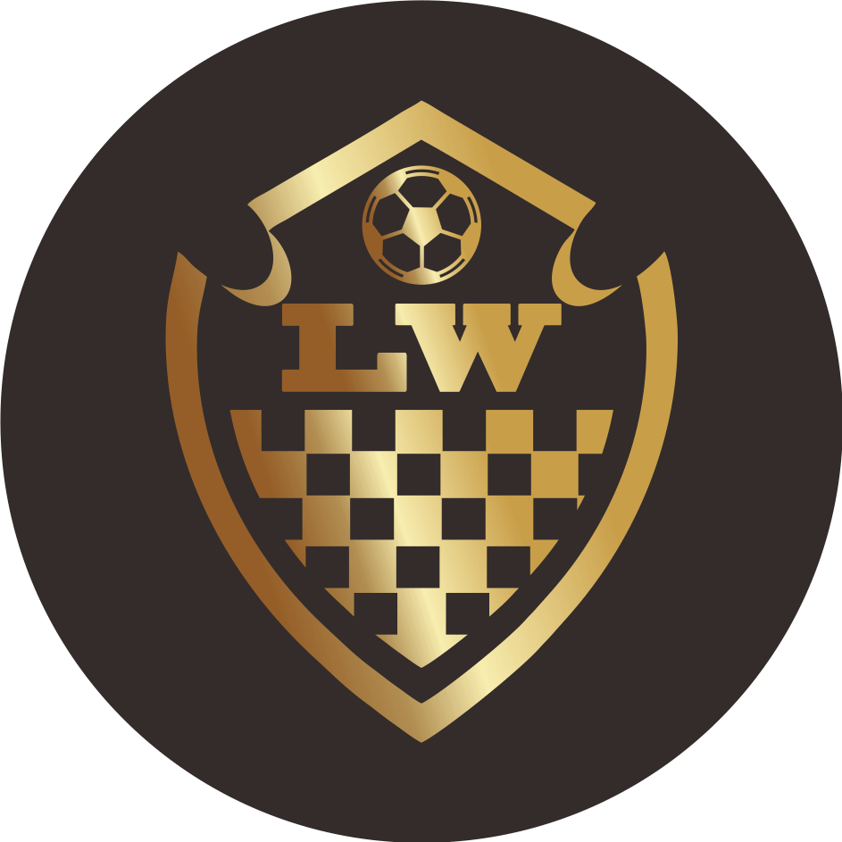 阿森纳vs图卢兹_联赛_奥林_梅尔加