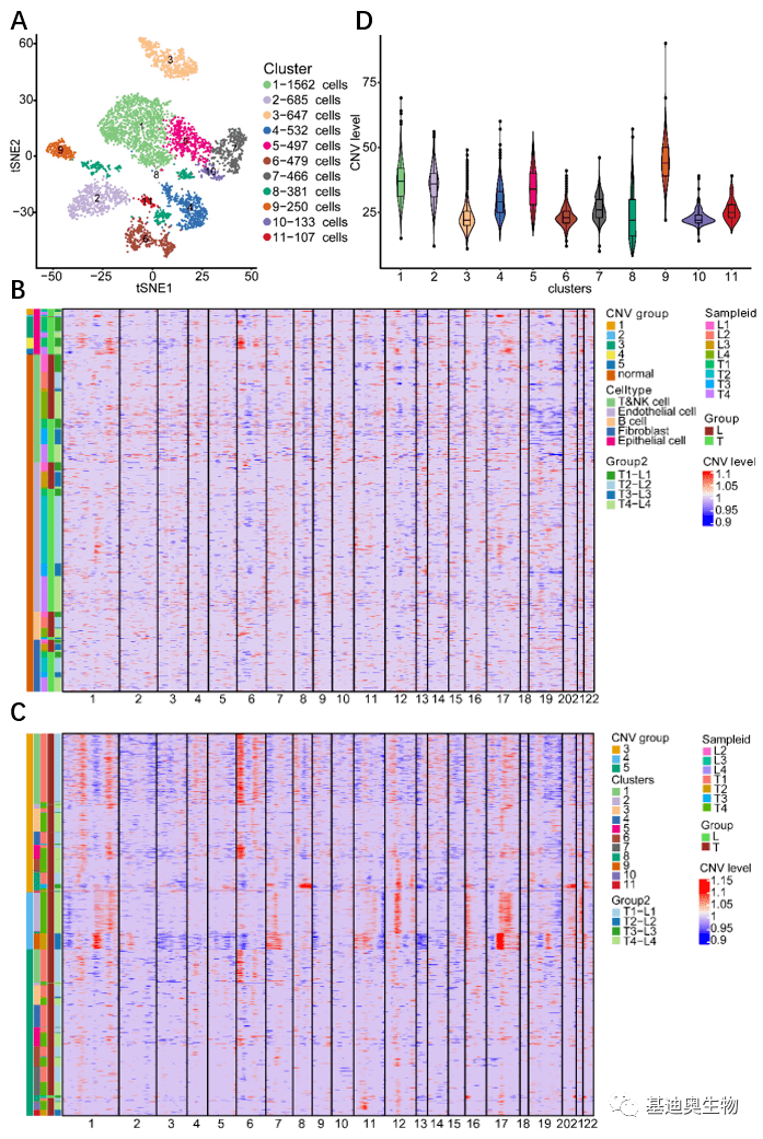 案例分享 | 单细胞CNV鉴定癌症恶性细胞及进化关系_研究_肿瘤_淋巴结