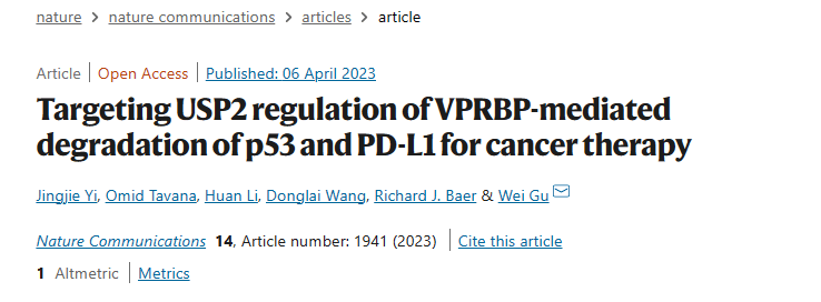新进展！USP2抑制剂可消除在肿瘤治疗中产生的毒性_研究_基因_Mdm