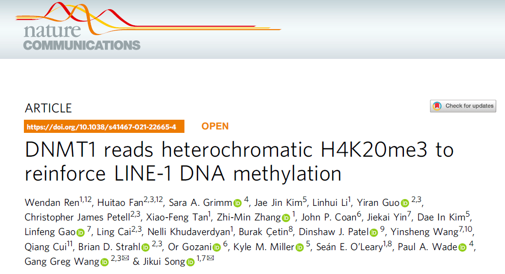 NAT COMMUN | DNA甲基化与抑制性组蛋白修饰之间的相互作用_me_实验_研究