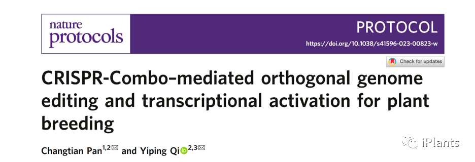 Nature Protocols | 浙江大学潘长田和戚益平团队发表植物育种双功能CRISPR新系统研究_CRISPR-Cas_CRISPR-Combo