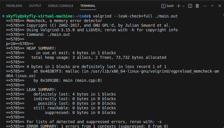 聊一聊 Valgrind 监视非托管内存泄露和崩溃_malloc_ptr_int