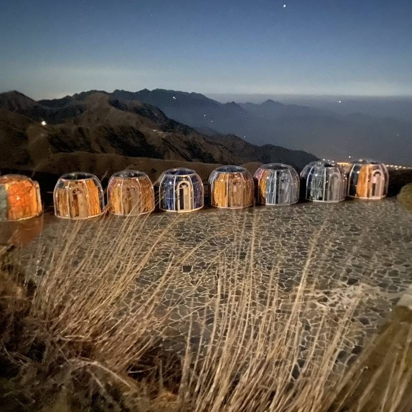 拜仁慕尼黑似乎已经确定了对阿方索·戴维斯未来的立场。_赛季_夏天_续约