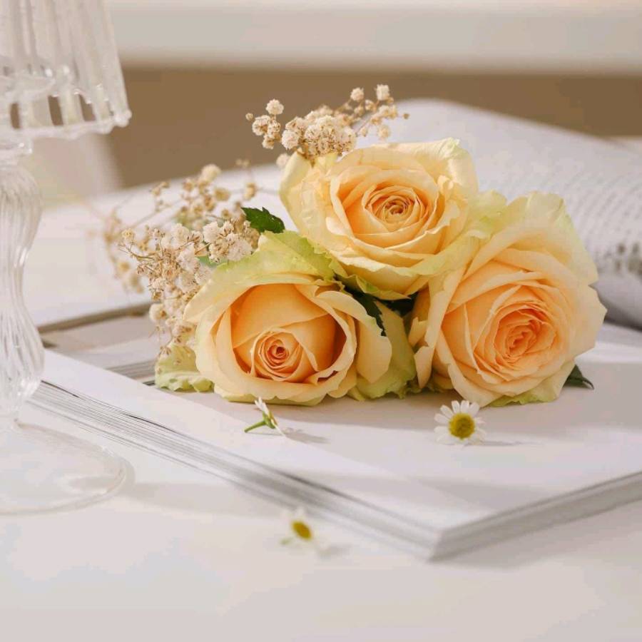 搭载Phancy “AI机芯”，兰博基尼、李小龙推出首款AI_手表_智能_Agent