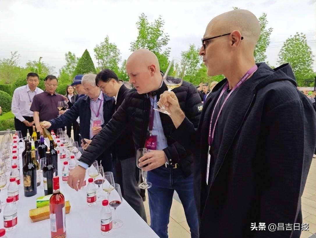 中外葡萄酒专家参观昌吉酒庄品鉴美酒种植大赛华兴