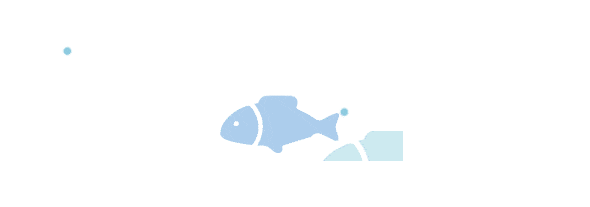 E763高速公路：匠心缔造塞尔维亚出海新通道_施工_项目_中国