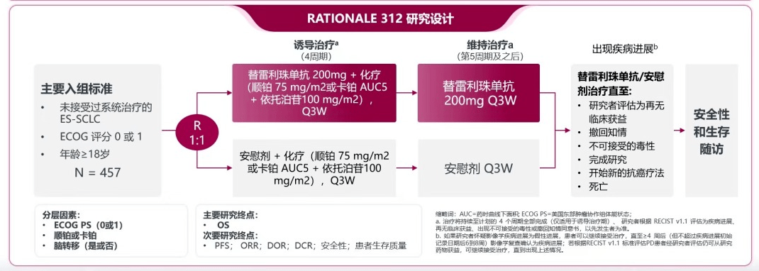 程颖教授：全面获益、彰显实力——RATIONALE 312研究重磅报阳 替雷利珠单抗肺癌领域再下一城_治疗_中国_患者