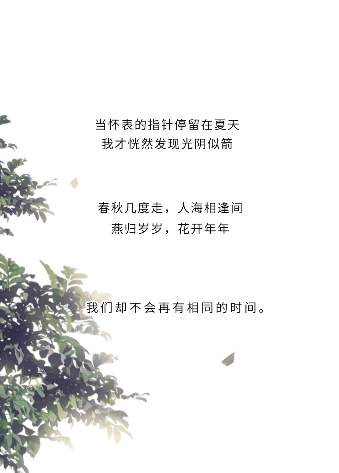 过了7月,我可能连偷看你的机会都没了张宇孟诗琪值班