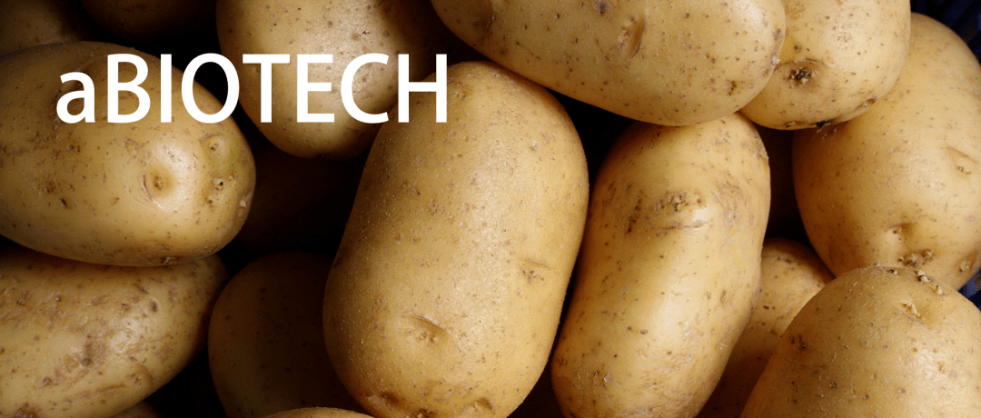 aBIOTECH 评述 | 漫长曲折马铃薯育种路上的平凡英雄_杂交_基因组_品种改良