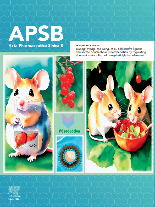 【APSB封底文章】五味子木脂素通过调控磷脂酰乙醇胺的代谢异常改善NASH_科学研究院_中国_治疗