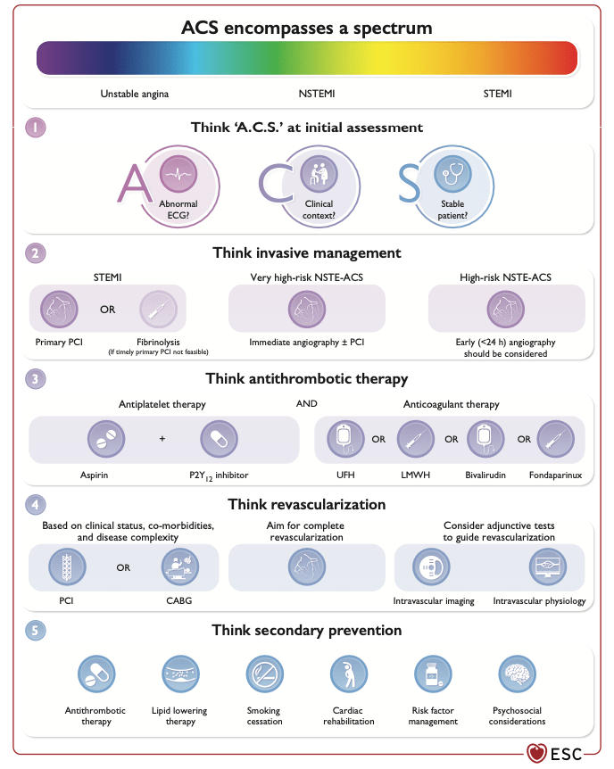 ESC 重磅丨聂绍平教授：2023年ESC ACS管理指南——突出ACS全谱系管理的整体思维，强调以患者为中心的个体化诊疗_治疗_临床_评估
