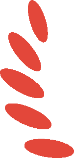 中国电信启动800M 5G基站集采_频段_网络_建设