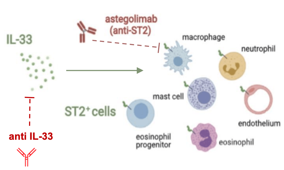 罗氏 ST2 单抗国内启动 III 期临床，瞄准百亿 COPD 市场！_研究_Insight_全球