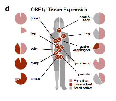 哈佛大学研发超灵敏多癌检测技术——ORF1p血液筛查_癌症_研究人员_生物