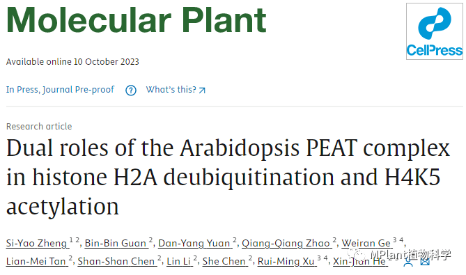 何新建实验室发现植物组蛋白H2A去泛素化的分子机制_研究_Plant_作用