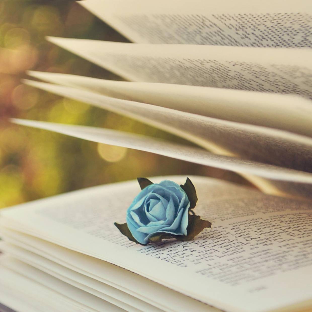 更新！2023年中国统计年鉴excel版（附1978-2022年鉴）_社会_经济_资源